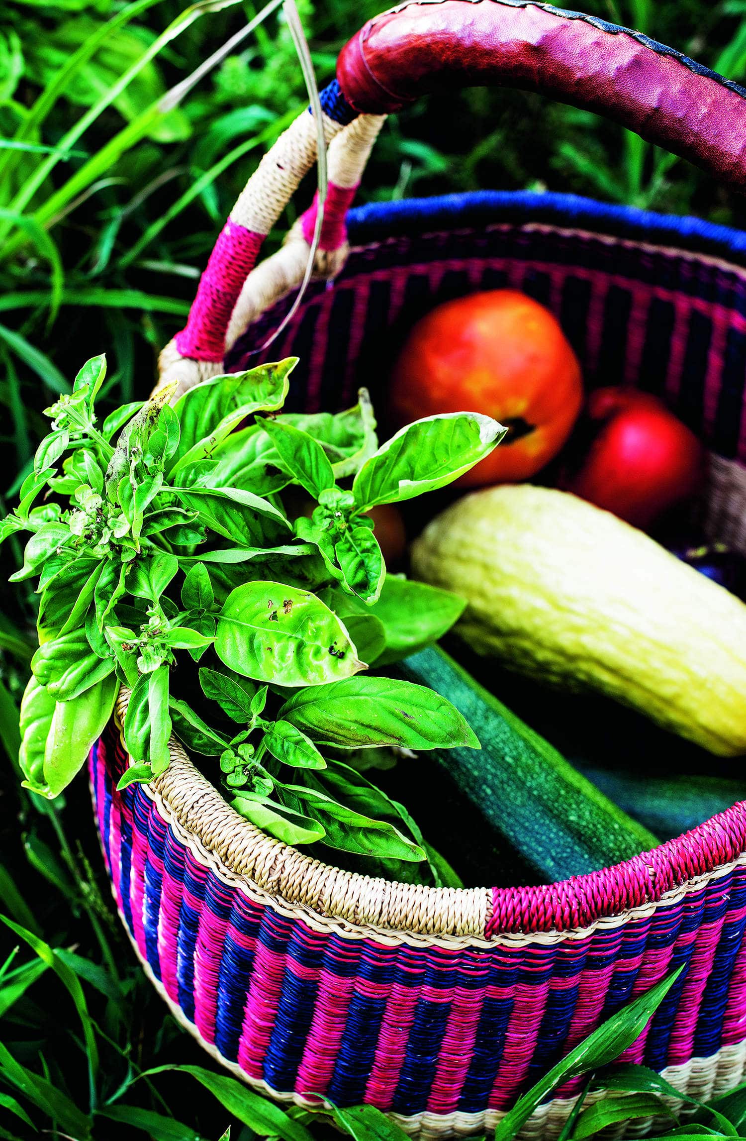 Raleigh Garden Tips What To Do In August WALTER Magazine Raleigh Garden Tips What To Do In August WALTER Magazine