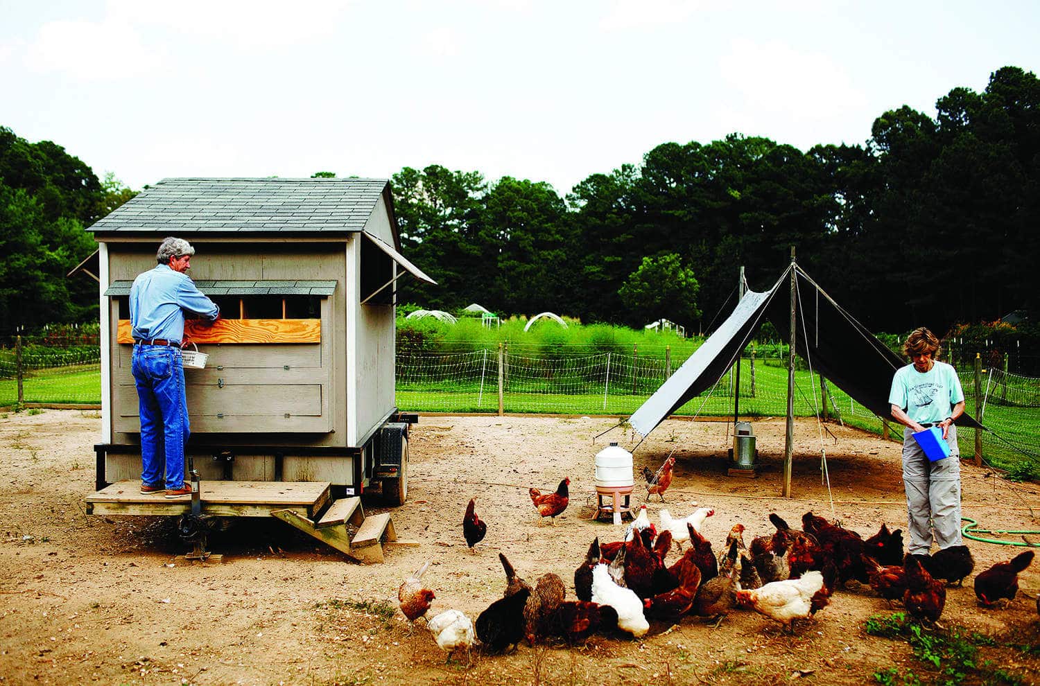 at the table: Farms of our own - WALTER Magazine