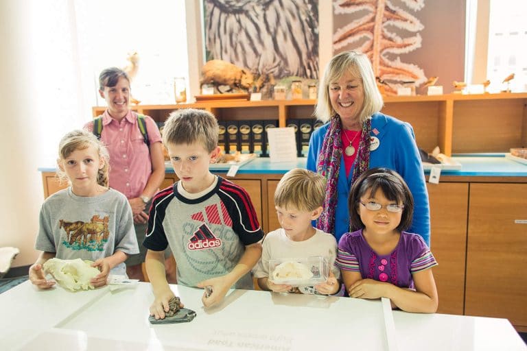 The power of one: Meg Lowman’s pioneering legacy - WALTER Magazine