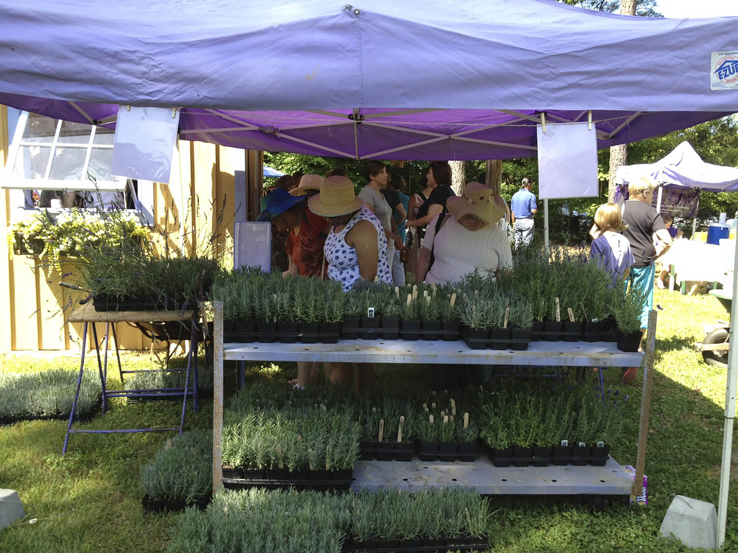 Spotlight: Where the sun always shines - WALTER Magazine