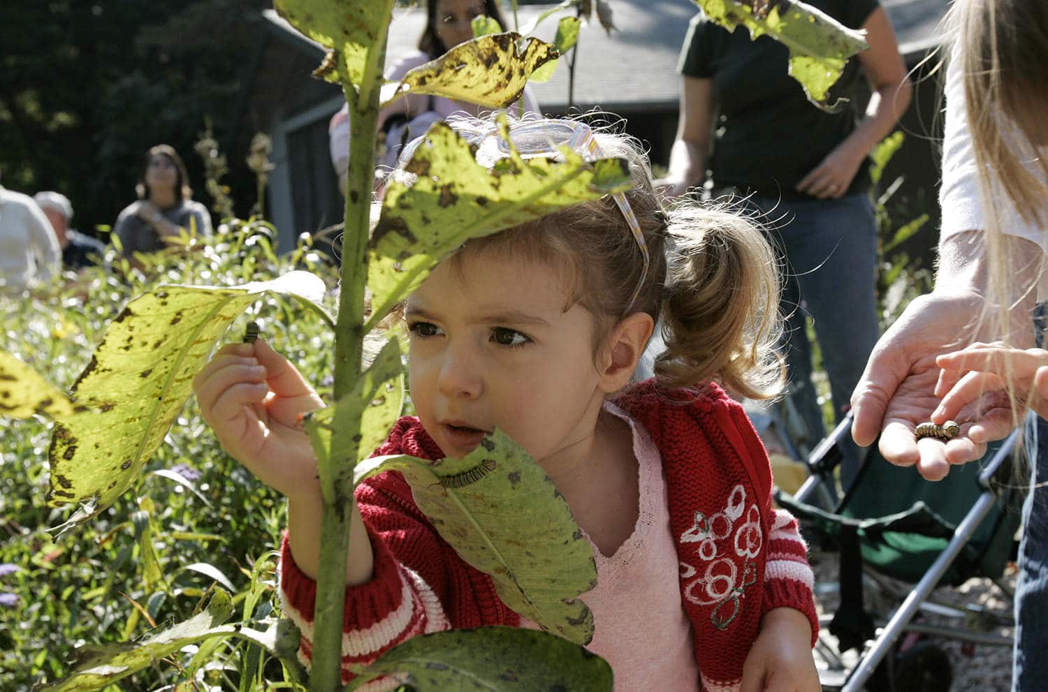 Spotlight: Alfresco activities - WALTER Magazine