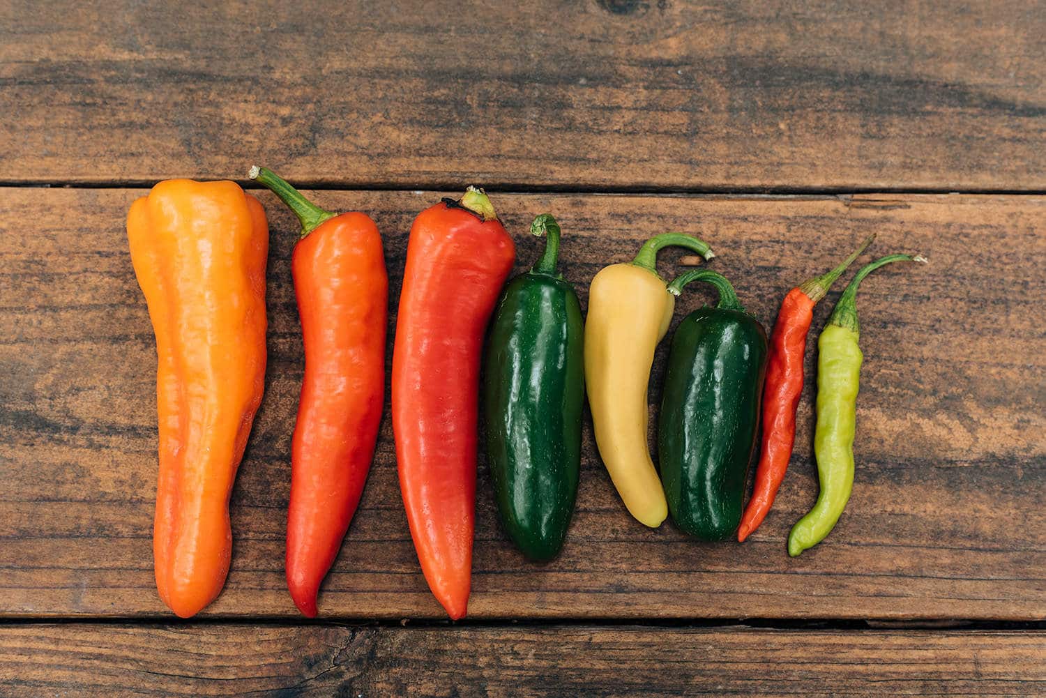Peppers3 - WALTER Magazine