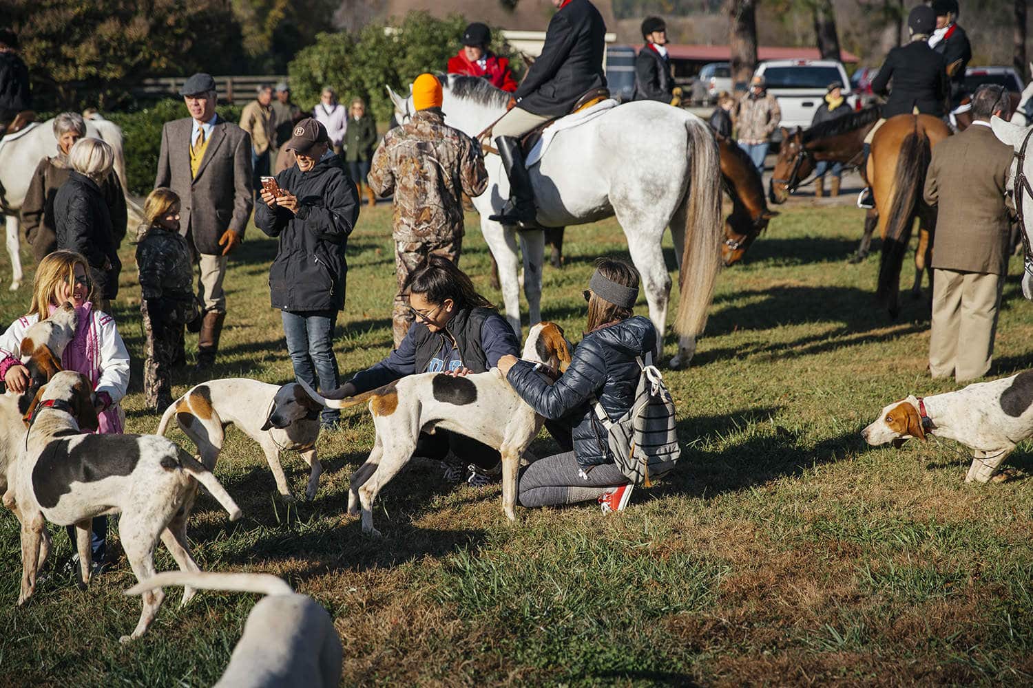 Tally Ho! - WALTER Magazine