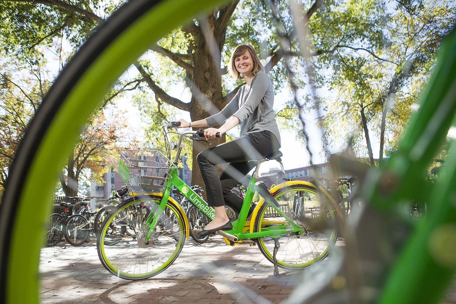 LimeBike - WALTER Magazine
