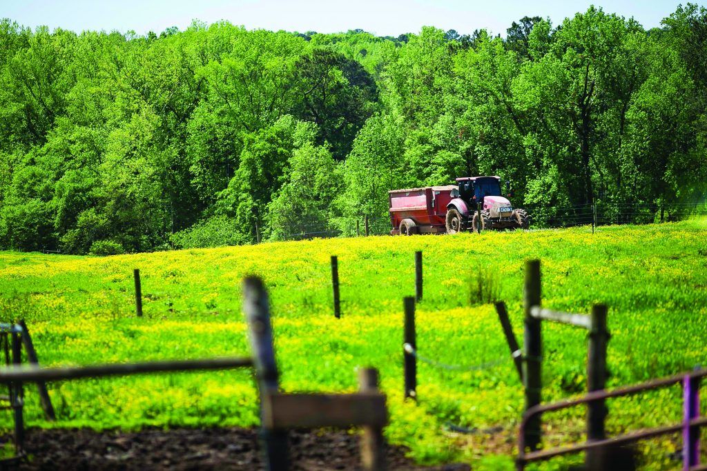N.C. State’s Howling Cow Ice Cream is now in Harris Teeter stores