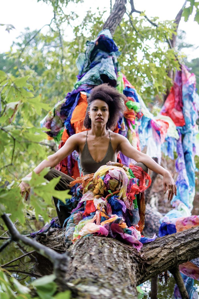 Delicate, Declarative: Artist Maya Freelon's Ephemeral Work - WALTER ...