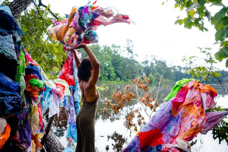 Delicate, Declarative: Artist Maya Freelon's Ephemeral Work - WALTER ...