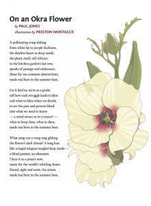 July Poem of the Month: On an Okra Flower - WALTER Magazine