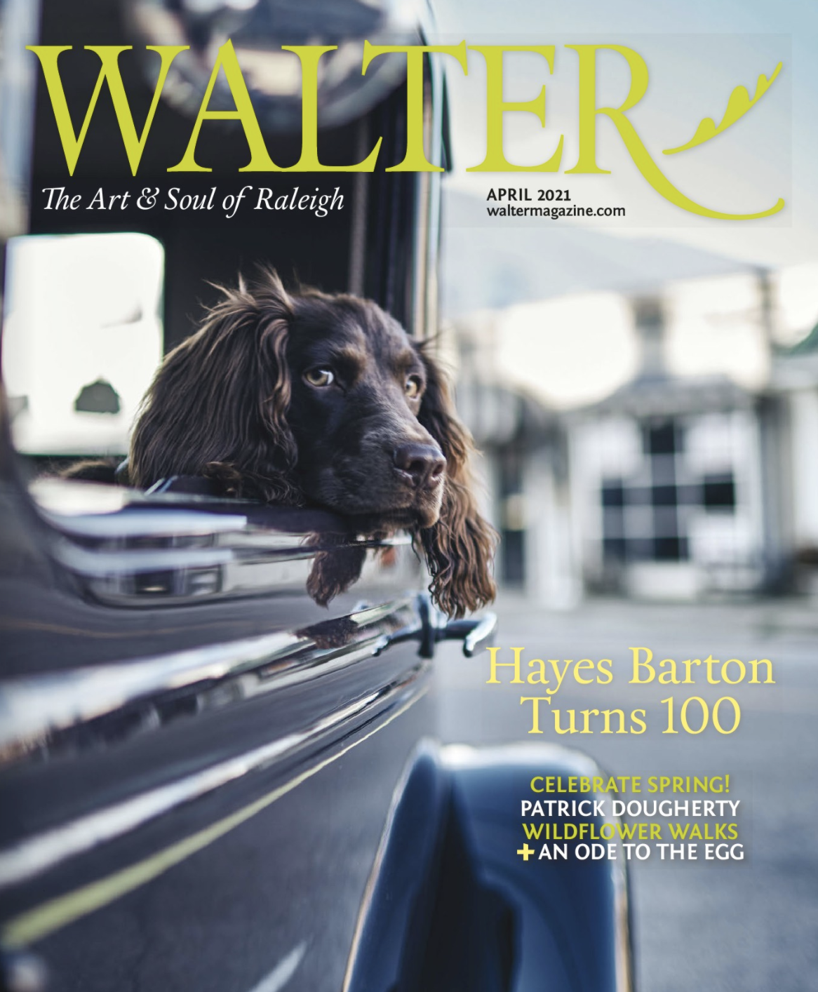 WALTER Magazine | View Past Issues Online