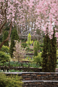 Scenes of Spring at Duke Gardens - WALTER Magazine