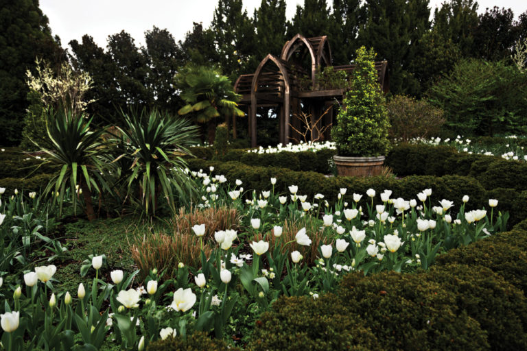 Scenes of Spring at Duke Gardens - WALTER Magazine