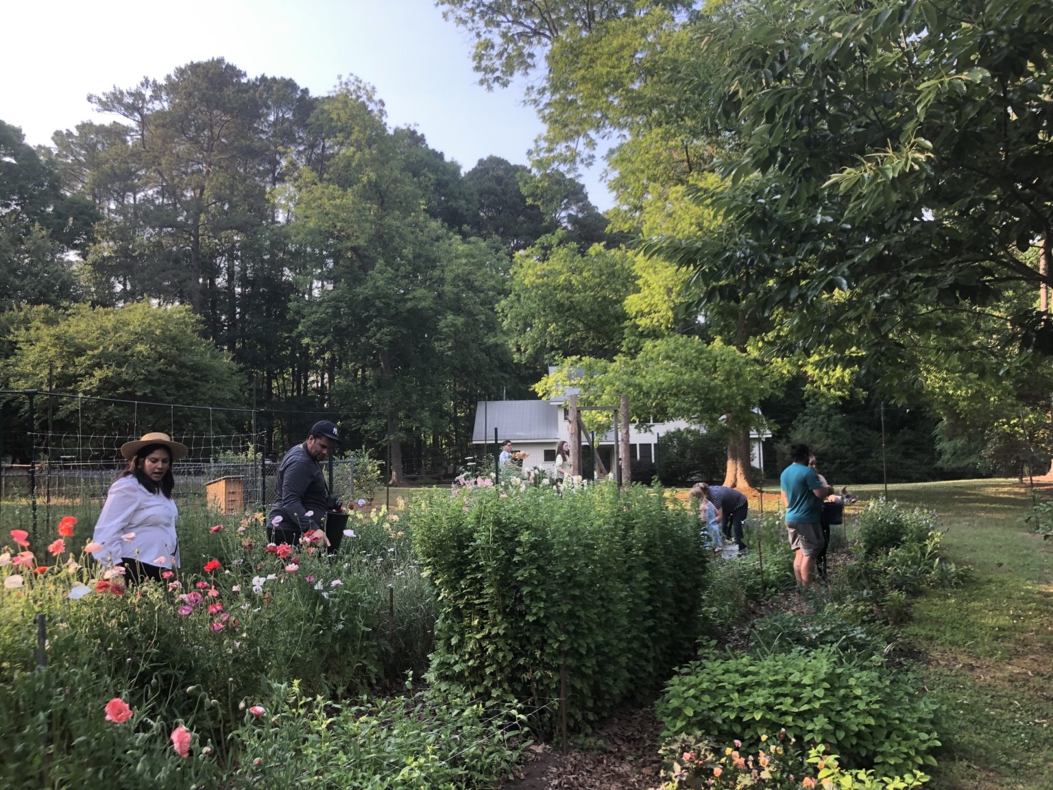 May Garden Tips: What to do in your Yard in May - WALTER Magazine