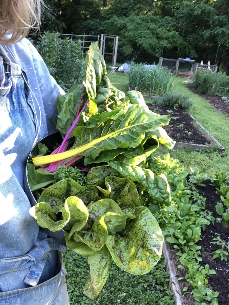 May Garden Tips: What to do in your Yard in May - WALTER Magazine