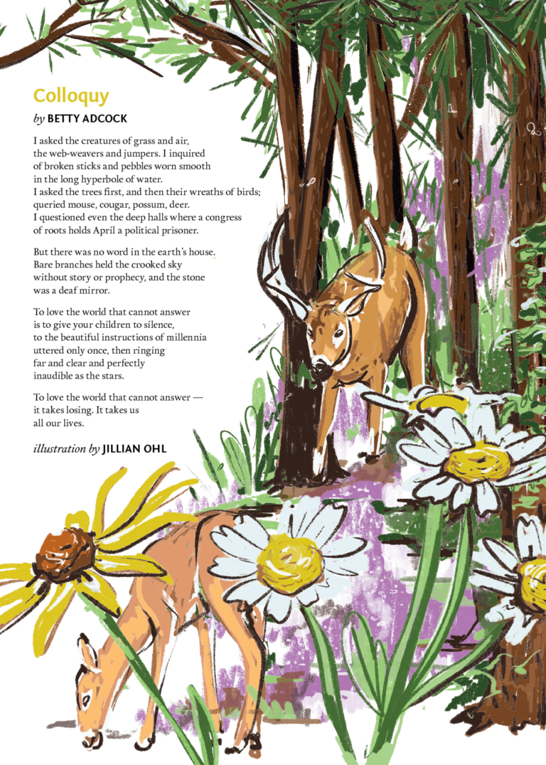 August Poem: Colloquy by Betty Adcock - WALTER Magazine