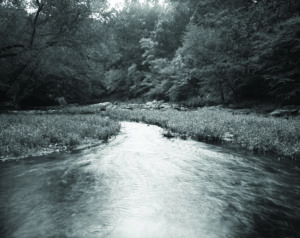Ebb & Flow: The Ever-Changing Eno River in Photos - WALTER Magazine