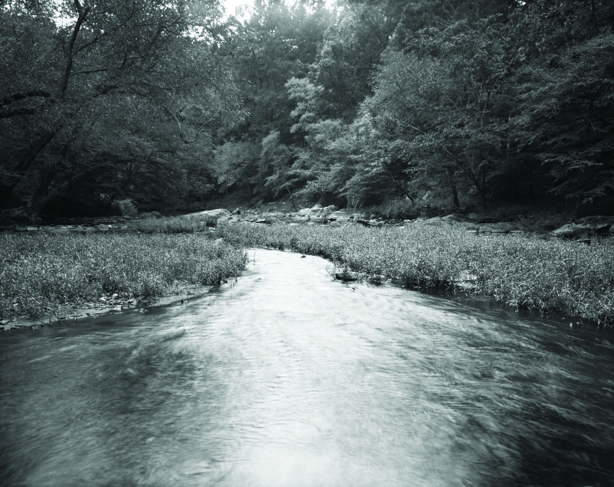 Ebb & Flow: The Ever-Changing Eno River in Photos - WALTER Magazine