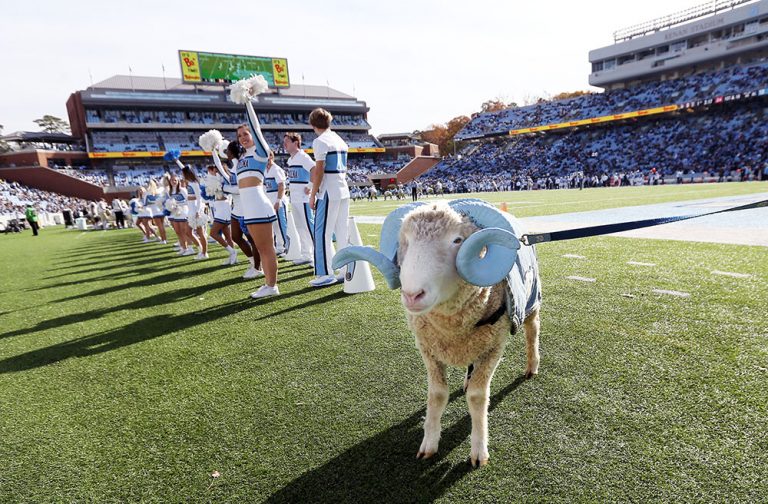 A Day in the Life of UNC's Rameses XXII - WALTER Magazine