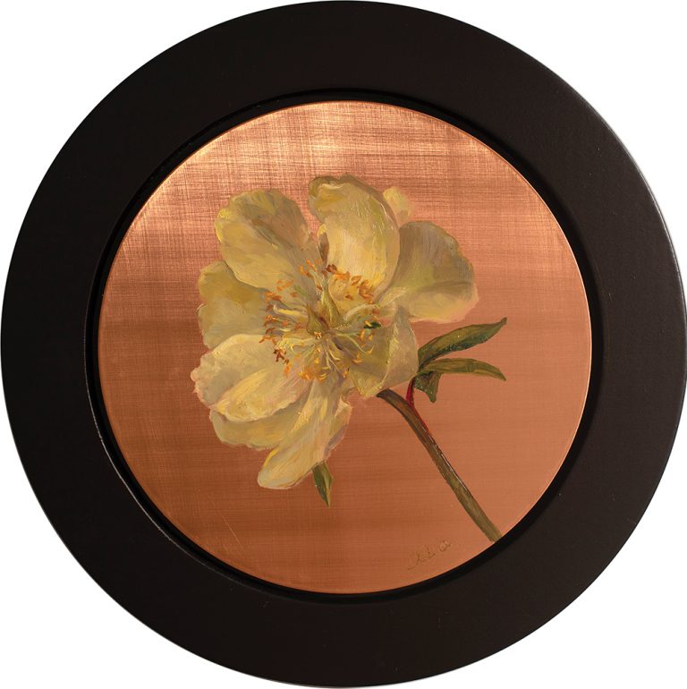 Alia El-Bermani's Cabinet of Curiosities - WALTER Magazine