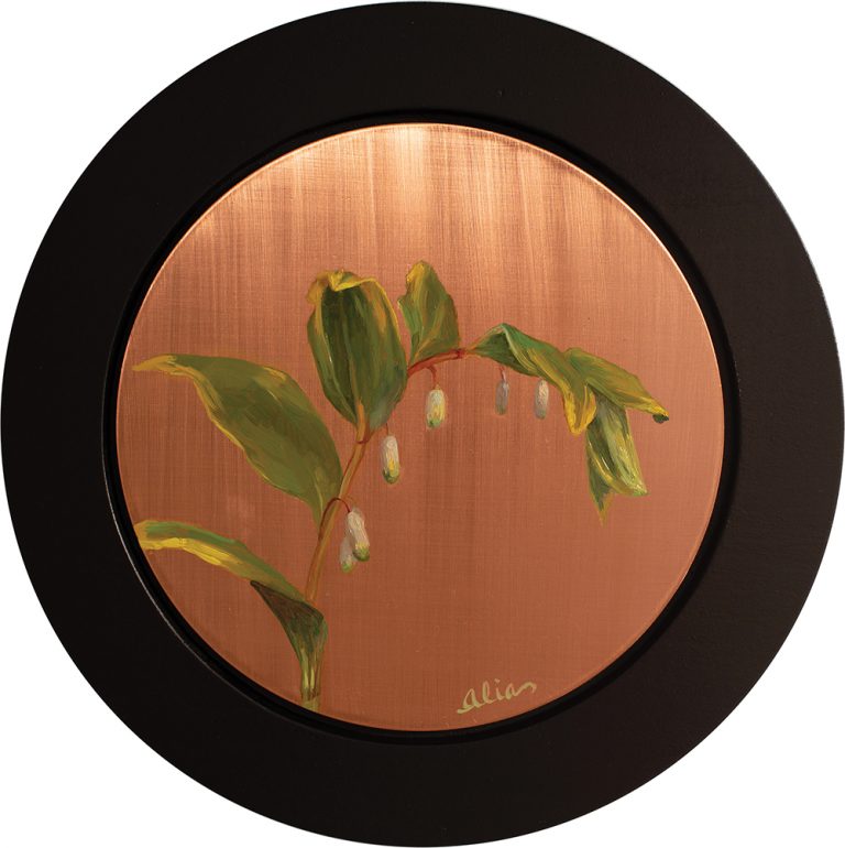 Alia El-Bermani's Cabinet of Curiosities - WALTER Magazine