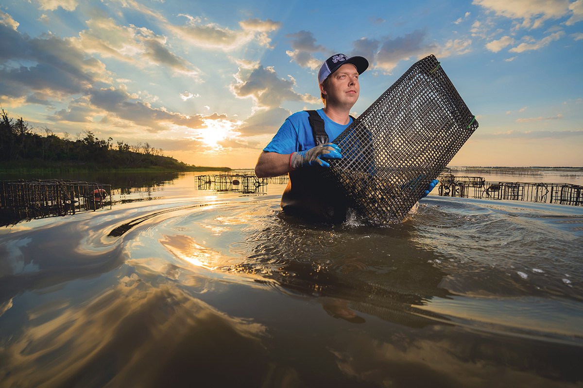 Savoring the Sea: The NC Oyster Trail - WALTER Magazine