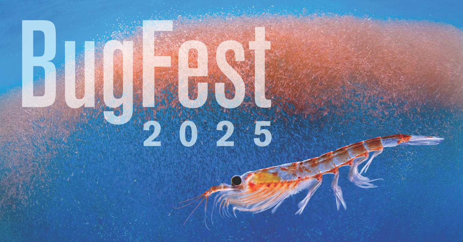 What to do in September 2025 In and Around Raleigh - WALTER Magazine